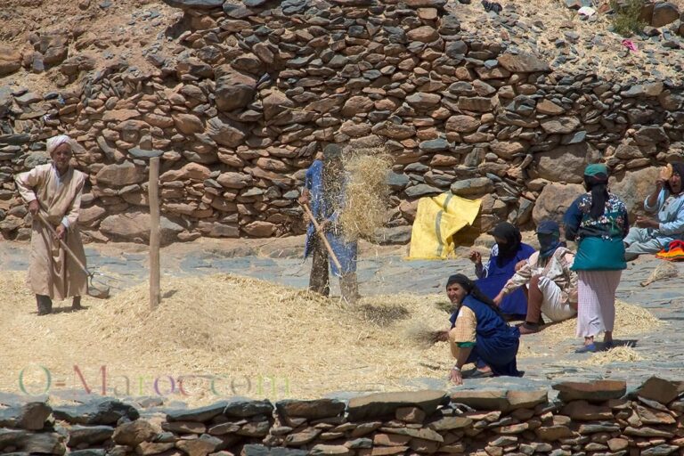 The Berber language in pictures: Anrar